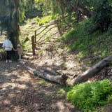 Fryman Canyon Trail, California - 6,039 Reviews, Map | AllTrails