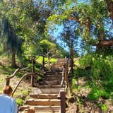 Fryman Canyon Trail, California - 6,039 Reviews, Map | AllTrails