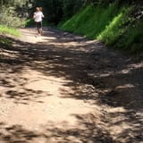 Fryman Canyon Trail, California - 6,039 Reviews, Map | AllTrails