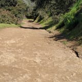 Fryman Canyon Trail, California - 6,039 Reviews, Map | AllTrails
