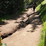 Fryman Canyon Trail, California - 6,039 Reviews, Map | AllTrails