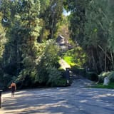 Fryman Canyon Trail, California - 6,039 Reviews, Map | AllTrails