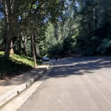 Fryman Canyon Trail, California - 6,039 Reviews, Map | AllTrails