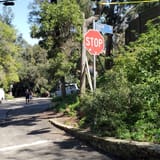 Fryman Canyon Trail, California - 6,039 Reviews, Map | AllTrails