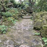 Waimea Valley Trail, Oahu, Hawaii - 1,591 Reviews, Map | AllTrails