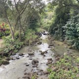 Waimea Valley Trail, Oahu, Hawaii - 1,591 Reviews, Map | AllTrails