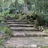 Waimea Valley Trail, Oahu, Hawaii - 1,591 Reviews, Map | AllTrails