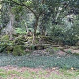 Waimea Valley Trail, Oahu, Hawaii - 1,591 Reviews, Map | AllTrails