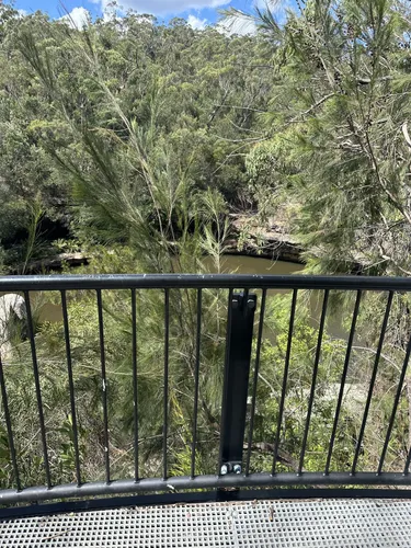 Best Short Trails in Dharawal National Park | AllTrails