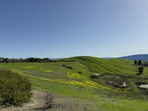 10 Best Easy Trails in San Ramon | AllTrails