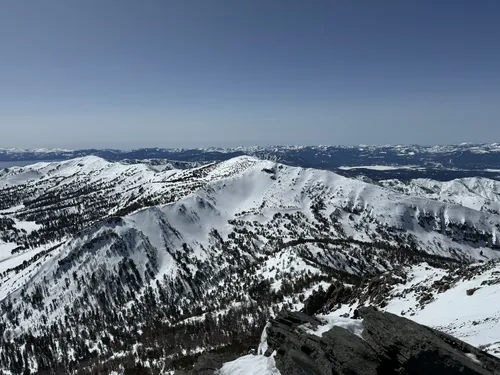 Best Camping Trails in Mount Rose Wilderness | AllTrails