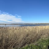 Stodmarsh NNR Circular, Kent, England - 89 Reviews, Map | AllTrails