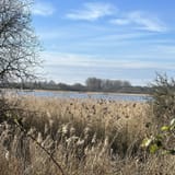 Stodmarsh NNR Circular, Kent, England - 89 Reviews, Map | AllTrails