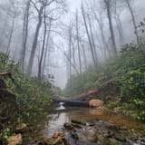 Gee Creek Falls Trail, Tennessee - 768 Reviews, Map | AllTrails