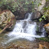 Gee Creek Falls Trail, Tennessee - 768 Reviews, Map | AllTrails