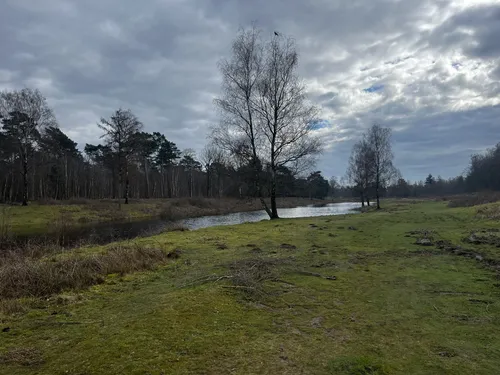 Best Walking Trails in Dorst Forest | AllTrails