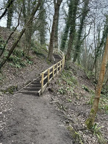 Best Hikes and Trails in Wepre Park | AllTrails