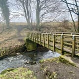 Beamish Park and Causey Arch Circular, County Durham, England - 436 ...