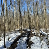 Monocacy Hill Trail, Pennsylvania - 1,874 Reviews, Map | AllTrails