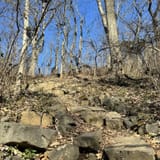 Monocacy Hill Trail, Pennsylvania - 1,874 Reviews, Map | AllTrails