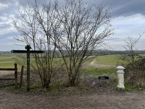 Best Moderate Trails in Ashtead Common National Nature Reserve | AllTrails