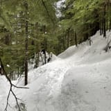 Heather Lake Trail, Washington - 5,682 Reviews, Map | AllTrails