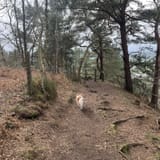 Raw Head Circular, Cheshire, England - 350 Reviews, Map | AllTrails