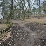 Raw Head Circular, Cheshire, England - 350 Reviews, Map | AllTrails