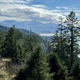 Clatsop Loop Trail from Indian Beach, Oregon - 2,562 Reviews, Map ...