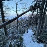Presidential Traverse Trail, New Hampshire - 1,439 Reviews, Map | AllTrails