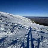Presidential Traverse Trail, New Hampshire - 1,515 Reviews, Map | AllTrails