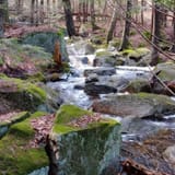 Catamount Hill Trail and One Mile Trail Loop, New Hampshire - 648 ...