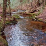 Catamount Hill Trail and One Mile Trail Loop, New Hampshire - 648 ...