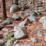 Catamount Hill Trail and One Mile Trail Loop, New Hampshire - 648 ...