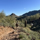 Quartz Ridge Trail (#8A), Arizona - 2,129 Reviews, Map | AllTrails