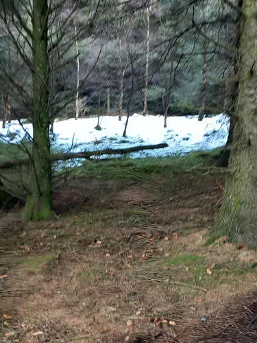 Best Historic Site Trails in Enniskerry | AllTrails