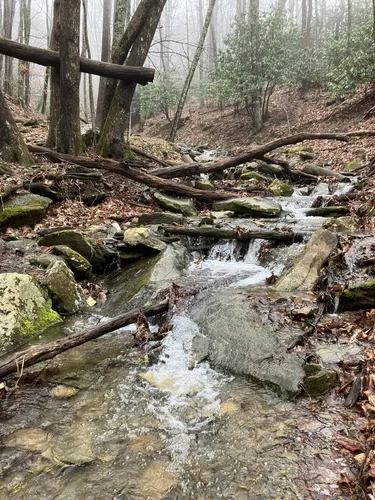 Best Waterfall Trails in Seven Devils | AllTrails