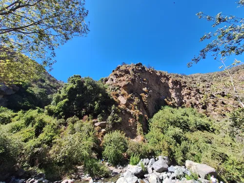 Best Forest Trails in Quebrada De Macul Natural Park | AllTrails