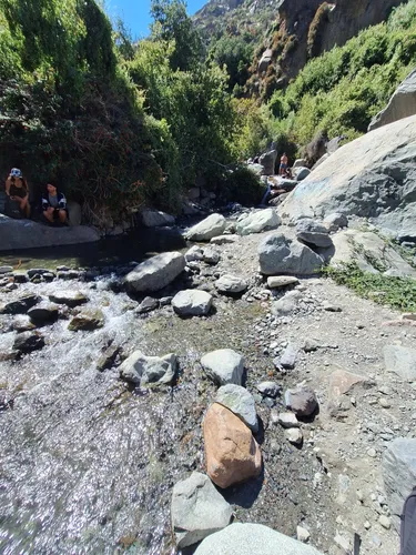 Best Forest Trails in Quebrada De Macul Natural Park | AllTrails