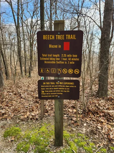 Best Hikes and Trails in Morris State Park | AllTrails