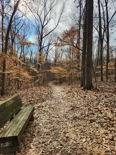 Best Hikes and Trails in Morris State Park | AllTrails