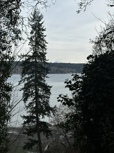 Best Hikes and Trails in Olalla | AllTrails