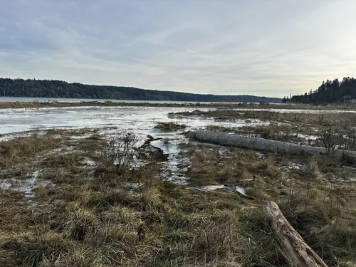 Best Hikes and Trails in Olalla | AllTrails