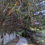 Tour of Fort Ross State Historic Park, California - 131 Reviews, Map ...