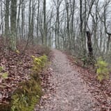 The Pinnacle via Ridgeline Trail and Boulders Access, North Carolina ...