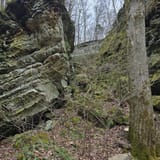 Panther Den Loop, Illinois - 900 Reviews, Map | AllTrails