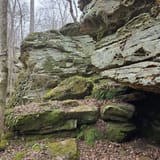 Panther Den Loop, Illinois - 898 Reviews, Map | AllTrails
