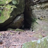 Panther Den Loop, Illinois - 900 Reviews, Map | AllTrails