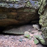 Panther Den Loop, Illinois - 900 Reviews, Map | AllTrails