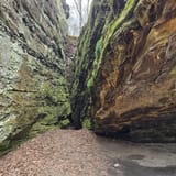 Panther Den Loop, Illinois - 900 Reviews, Map | AllTrails